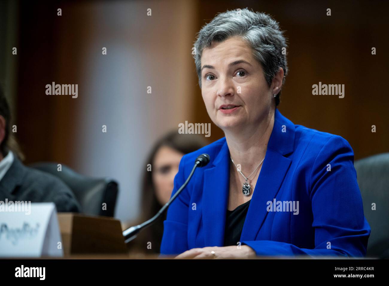 Anna b puglisi hi-res stock photography and images - Alamy