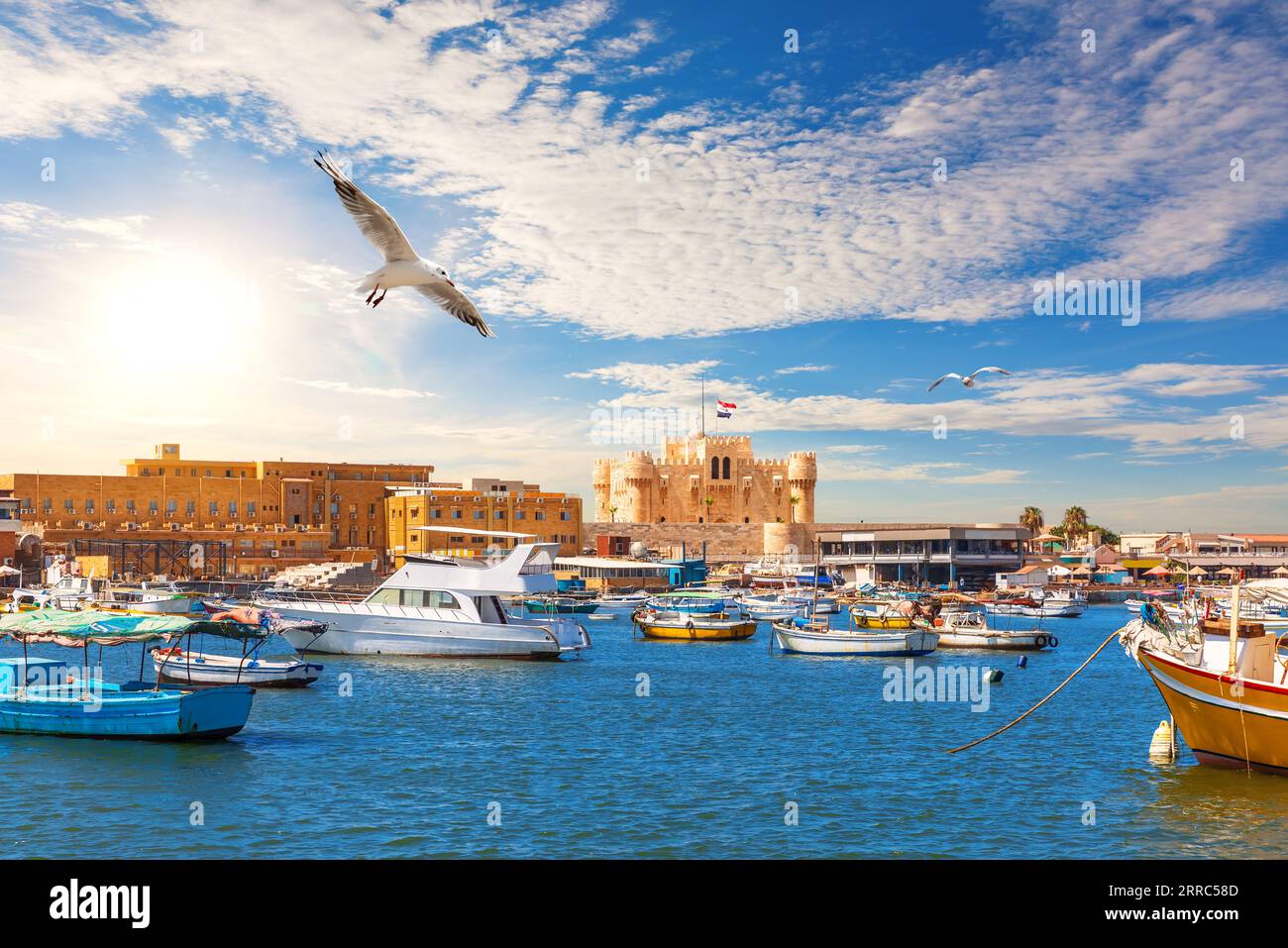 Beautiful view of the harbour and the Citadel of Qaitbay, the place of ...