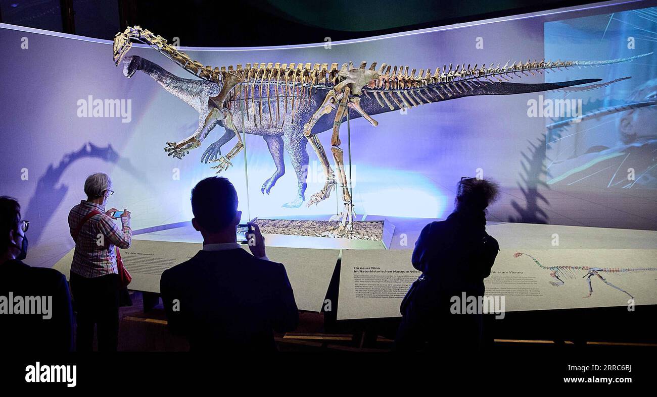 Plateosaurus plateosaurus hi-res stock photography and images - Alamy