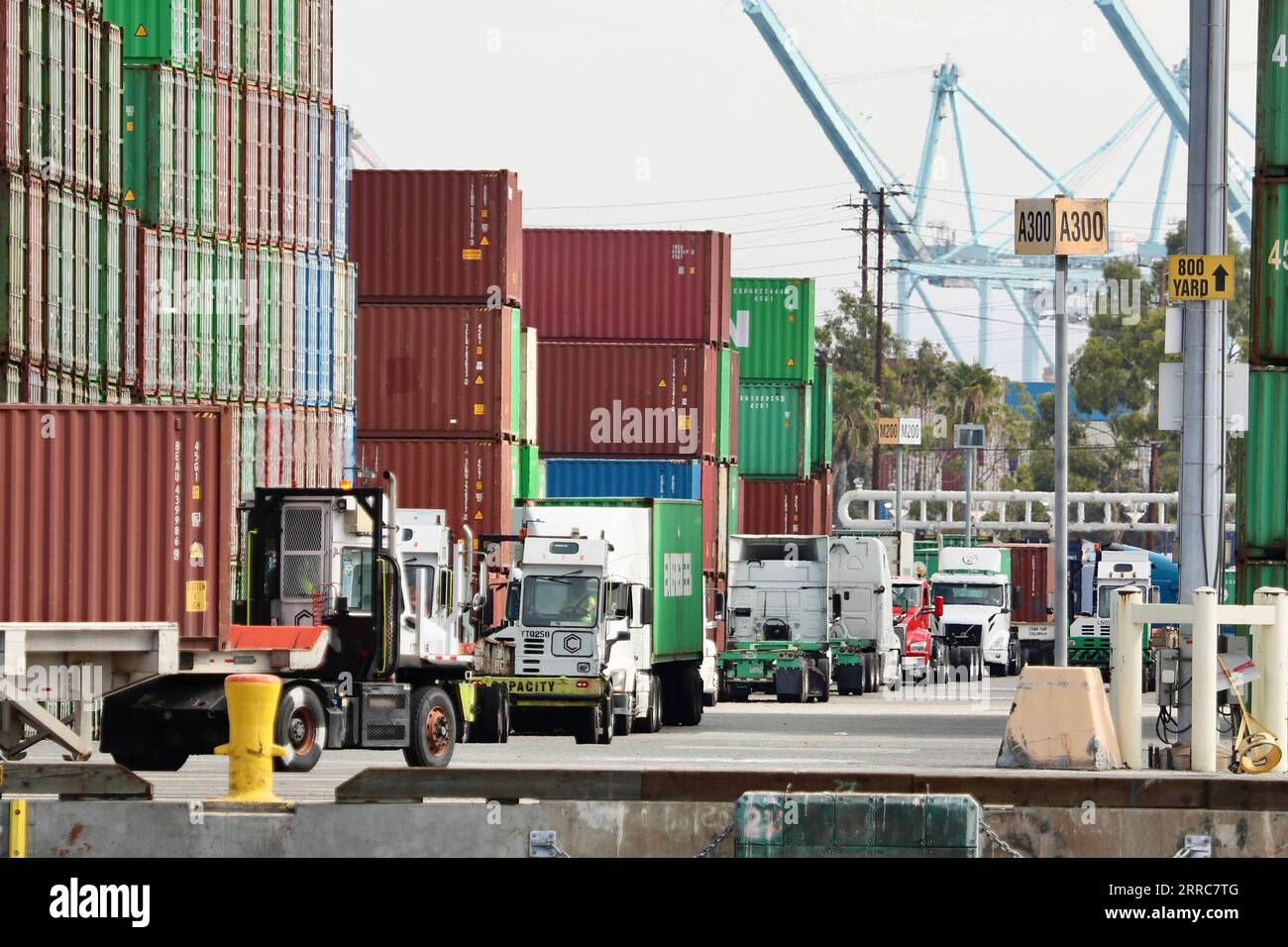 211023 -- LOS ANGELES, Oct. 23, 2021 -- Trucks wait to load containers ...