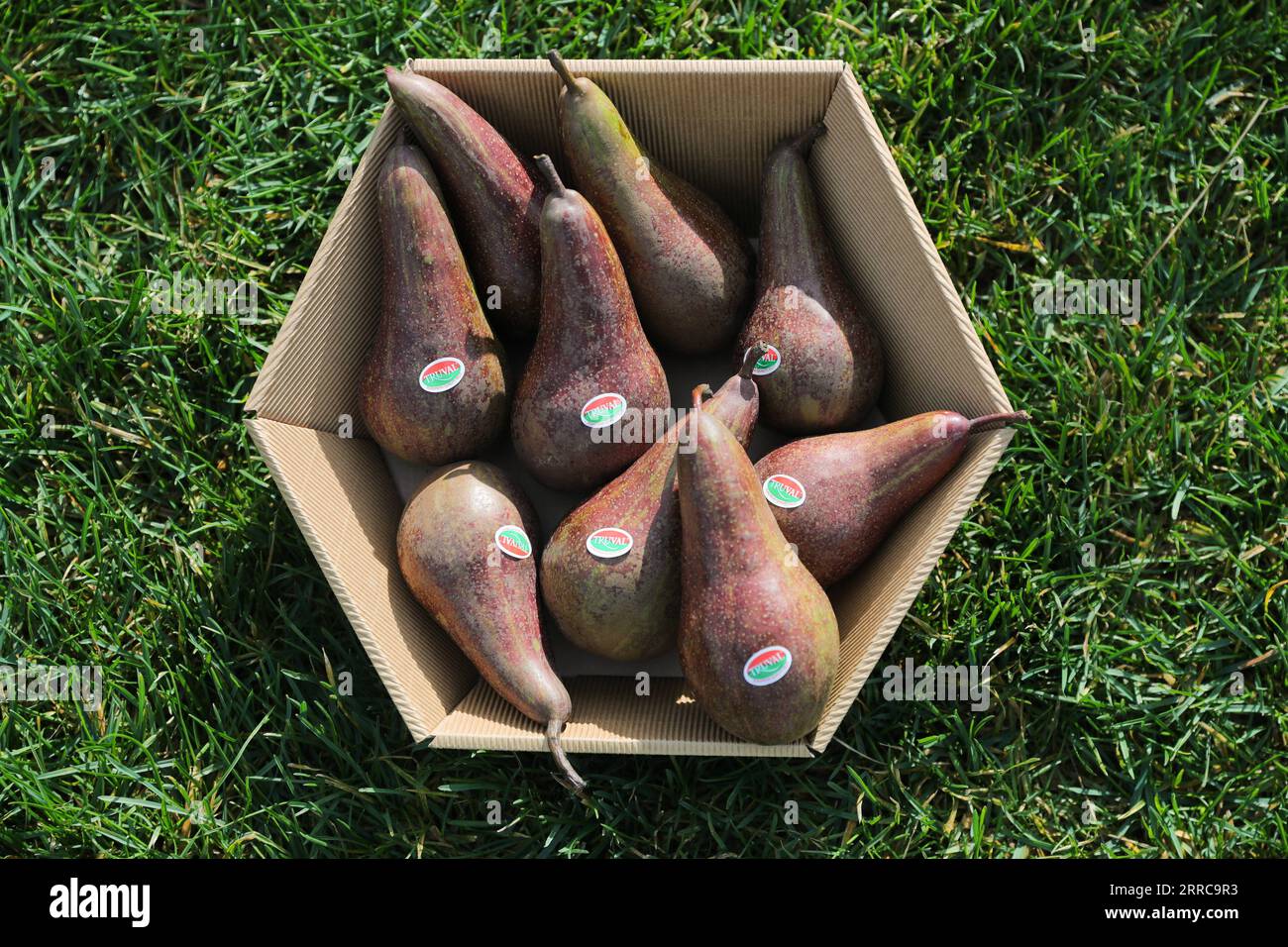 Belgian fruit valley hi-res stock photography and images - Alamy