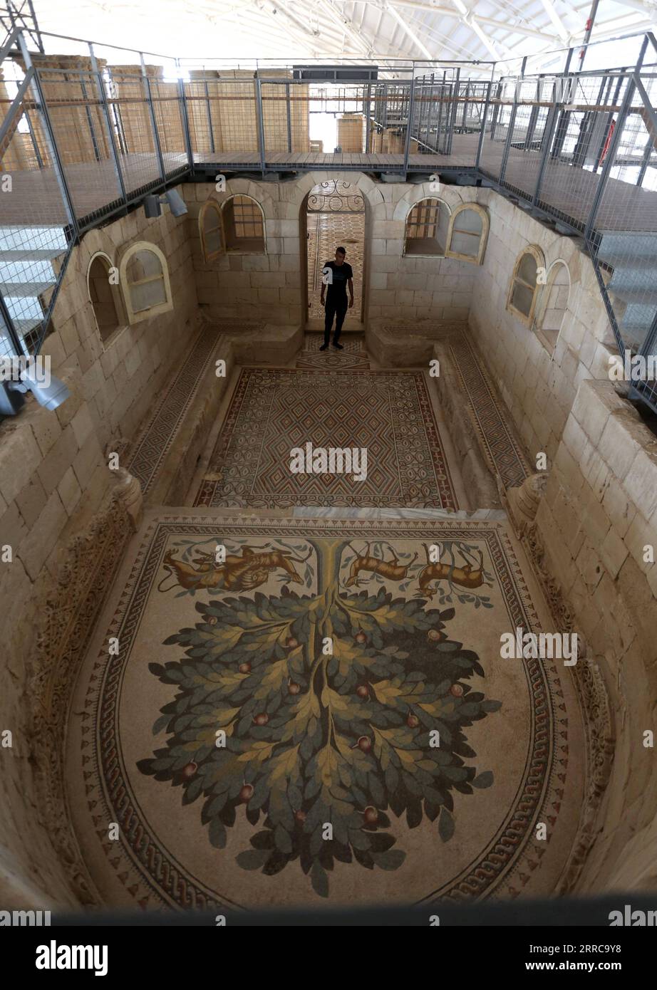 211028 -- JERICHO, Oct. 28, 2021 -- A Palestinian worker stands on ...
