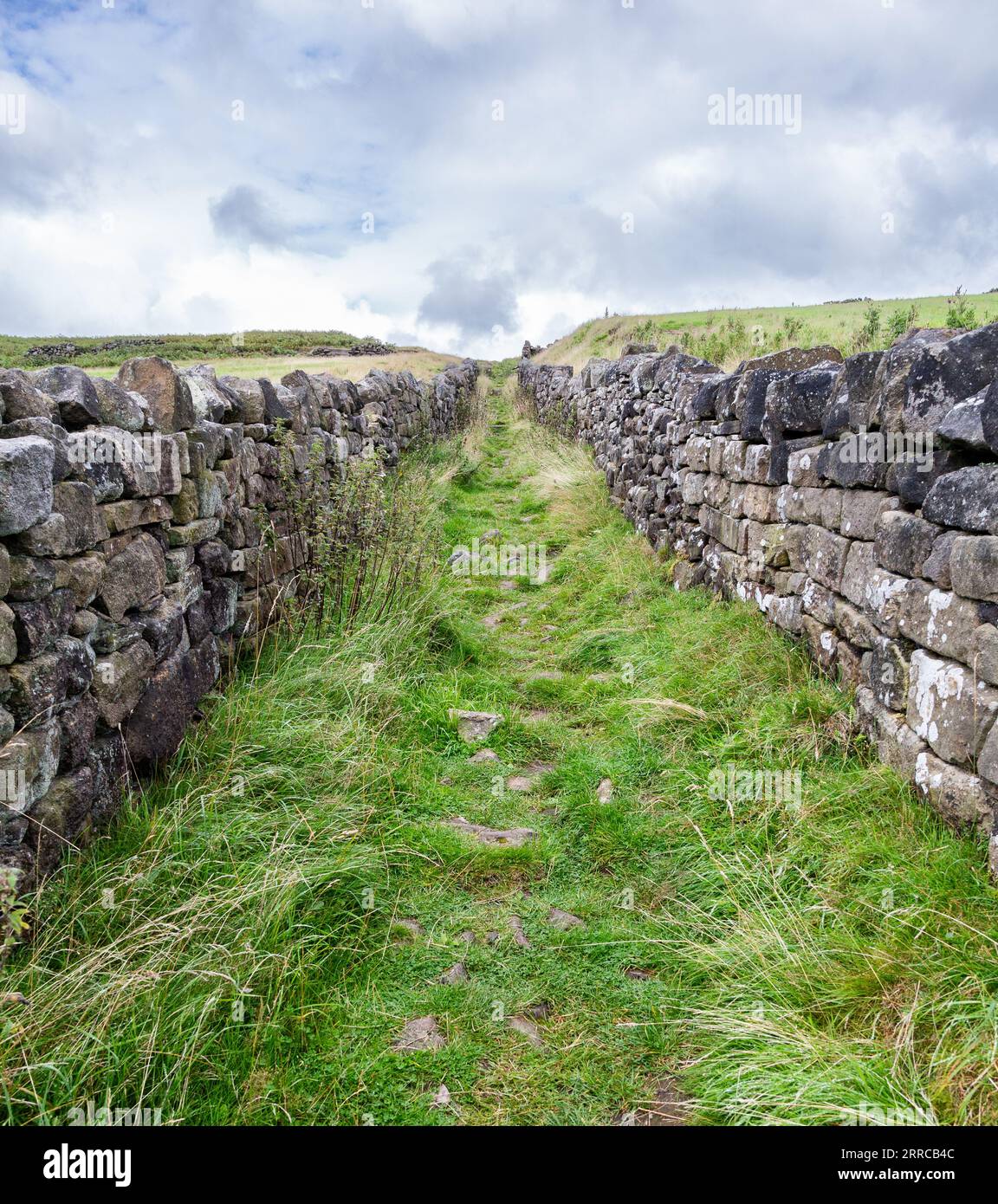 A footpath between two dry stone walls (walled track) in Yorkshire. The ...