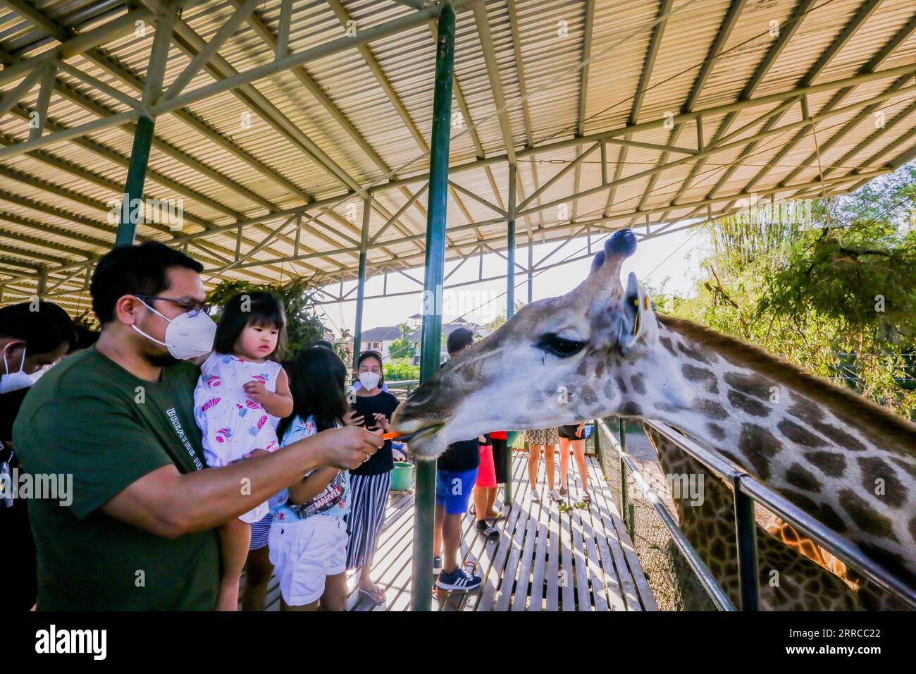 211031 -- ILOCOS SUR PROVINCE, Oct. 31, 2021 -- People feed a giraffe at the Baluarte Safari Zoo ...