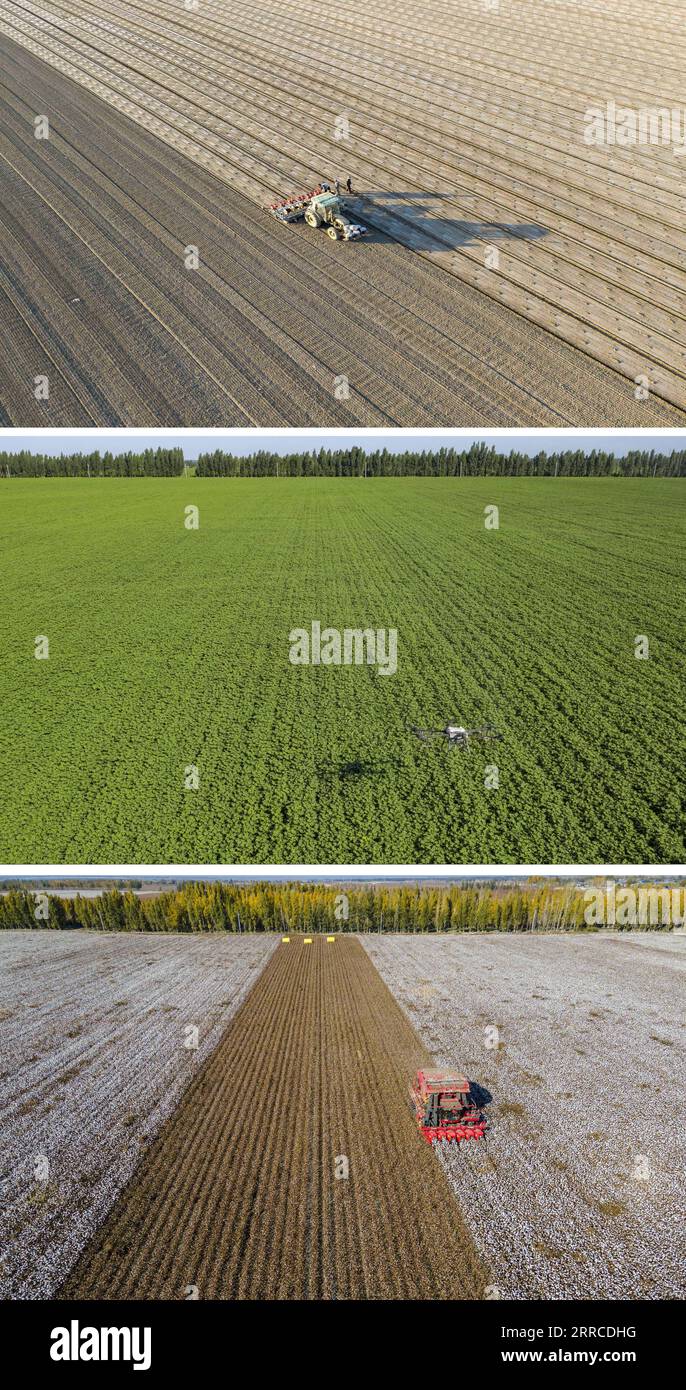 Old sowing methods hi-res stock photography and images - Alamy