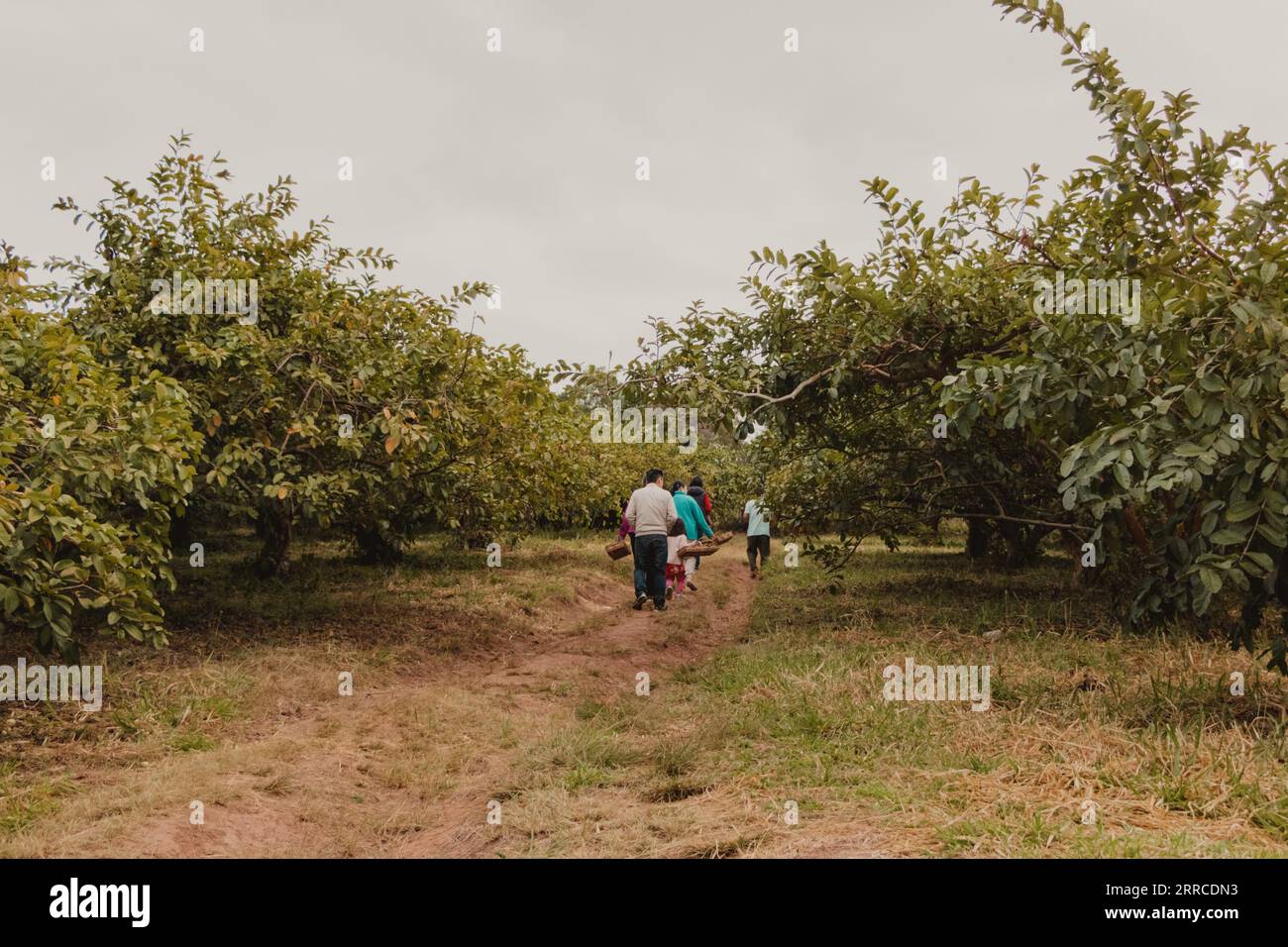 Group walk in countryside hi-res stock photography and images - Alamy