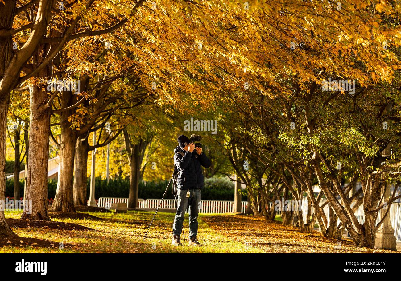 211102 -- CHICAGO, Nov. 2, 2021 -- A photographer captures the fall ...