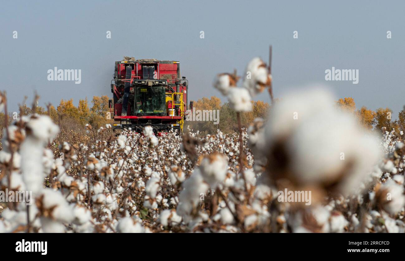 Mu iz hi-res stock photography and images - Alamy
