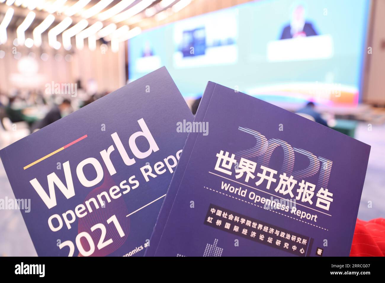 Analyzingth hi-res stock photography and images - Alamy