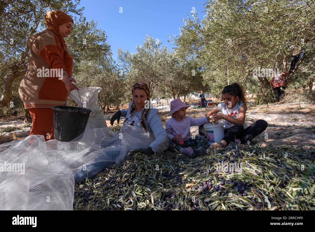 Ayalxmargolin hi-res stock photography and images - Alamy