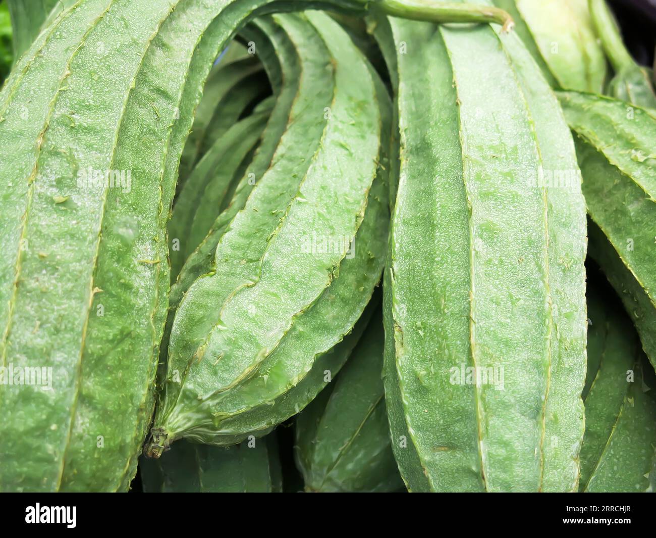 Asian squash hi-res stock photography and images - Alamy