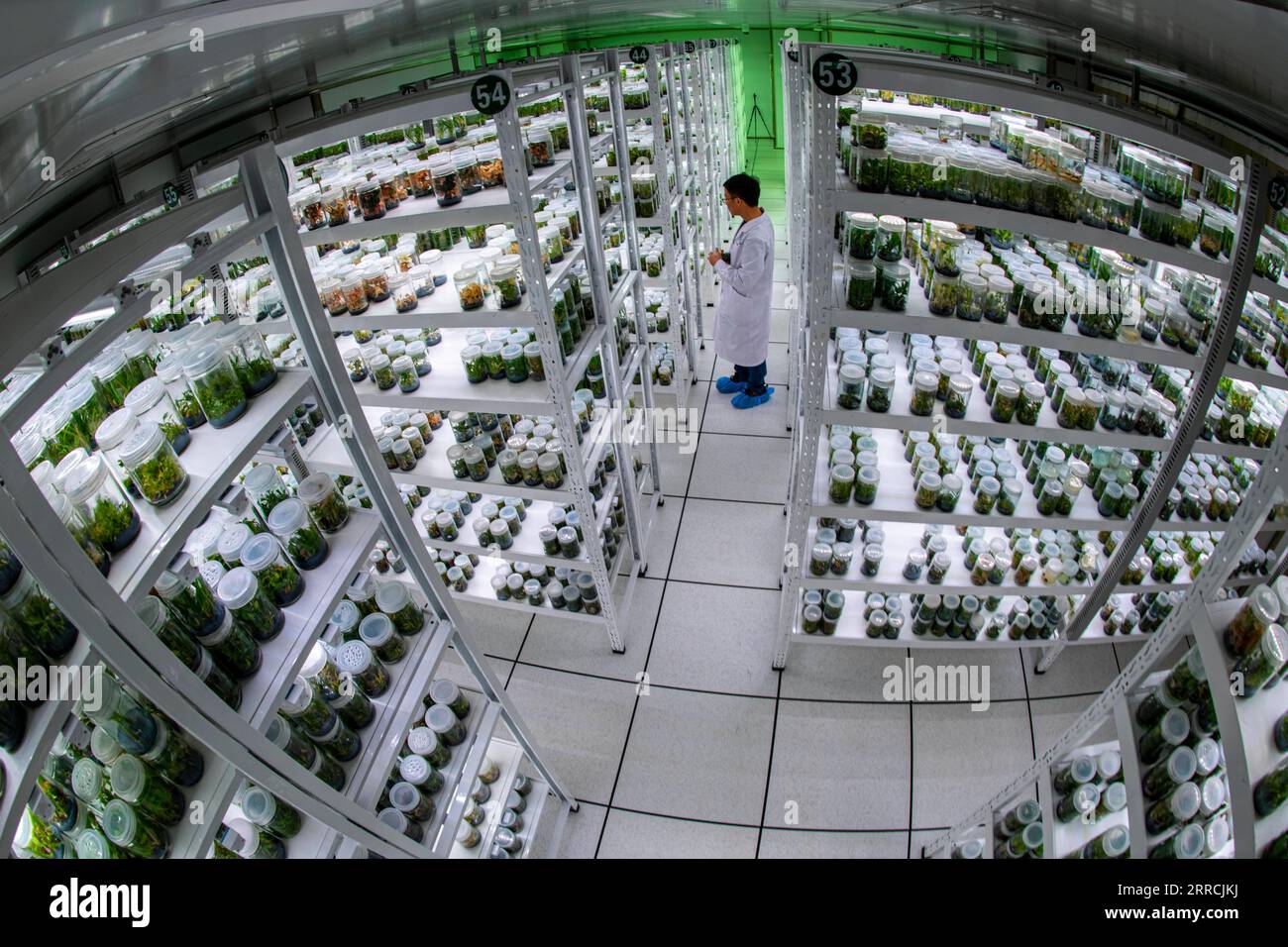 211108 -- KUNMING, Nov. 8, 2021 -- Photo taken on Oct. 20, 2021 shows ...