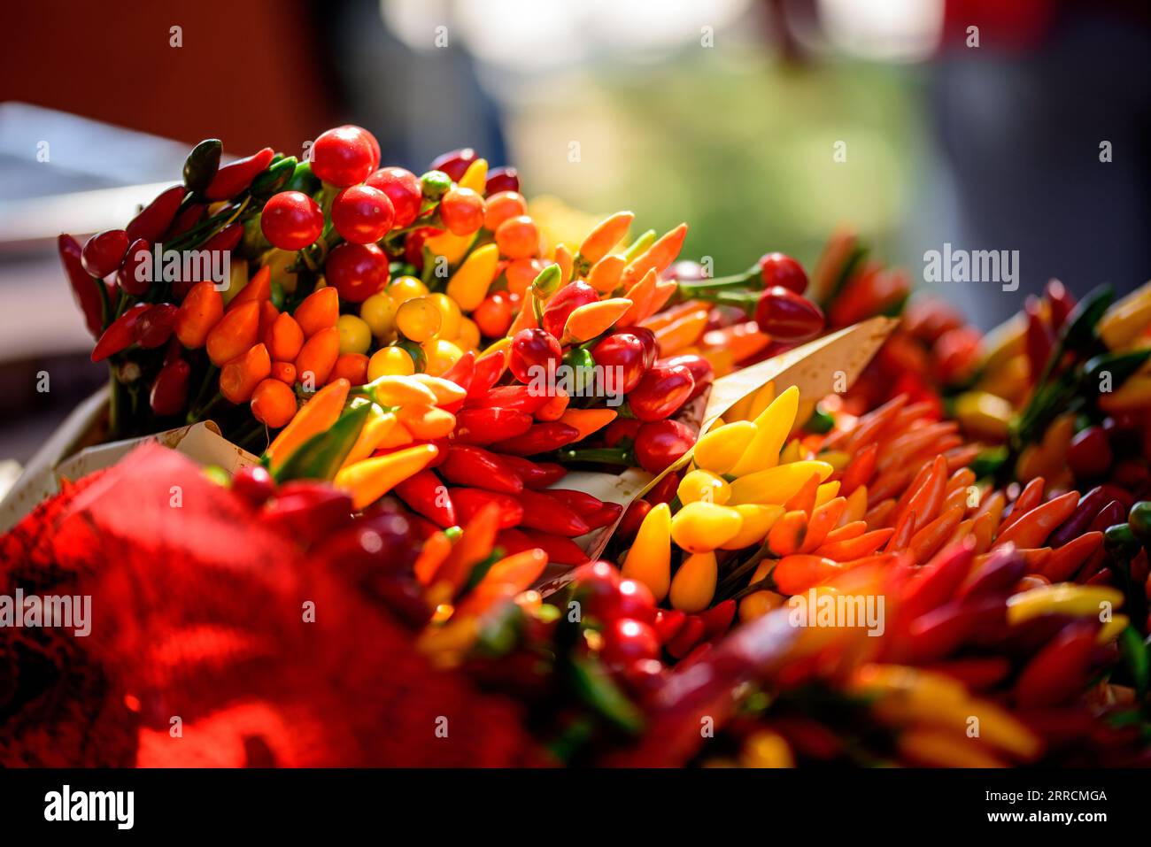 Bunch chilly hi-res stock photography and images - Alamy