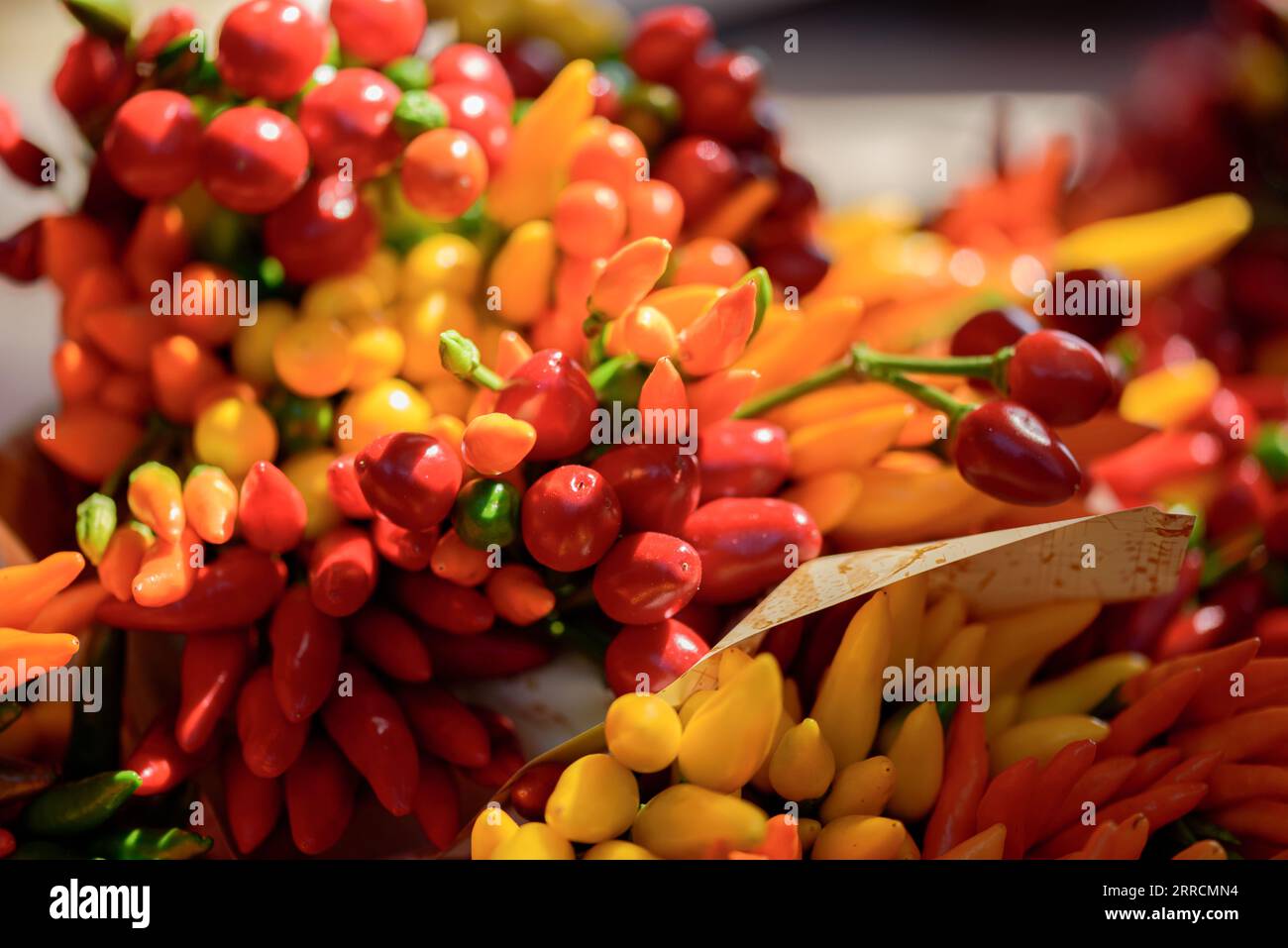 Bunch chilly hi-res stock photography and images - Alamy