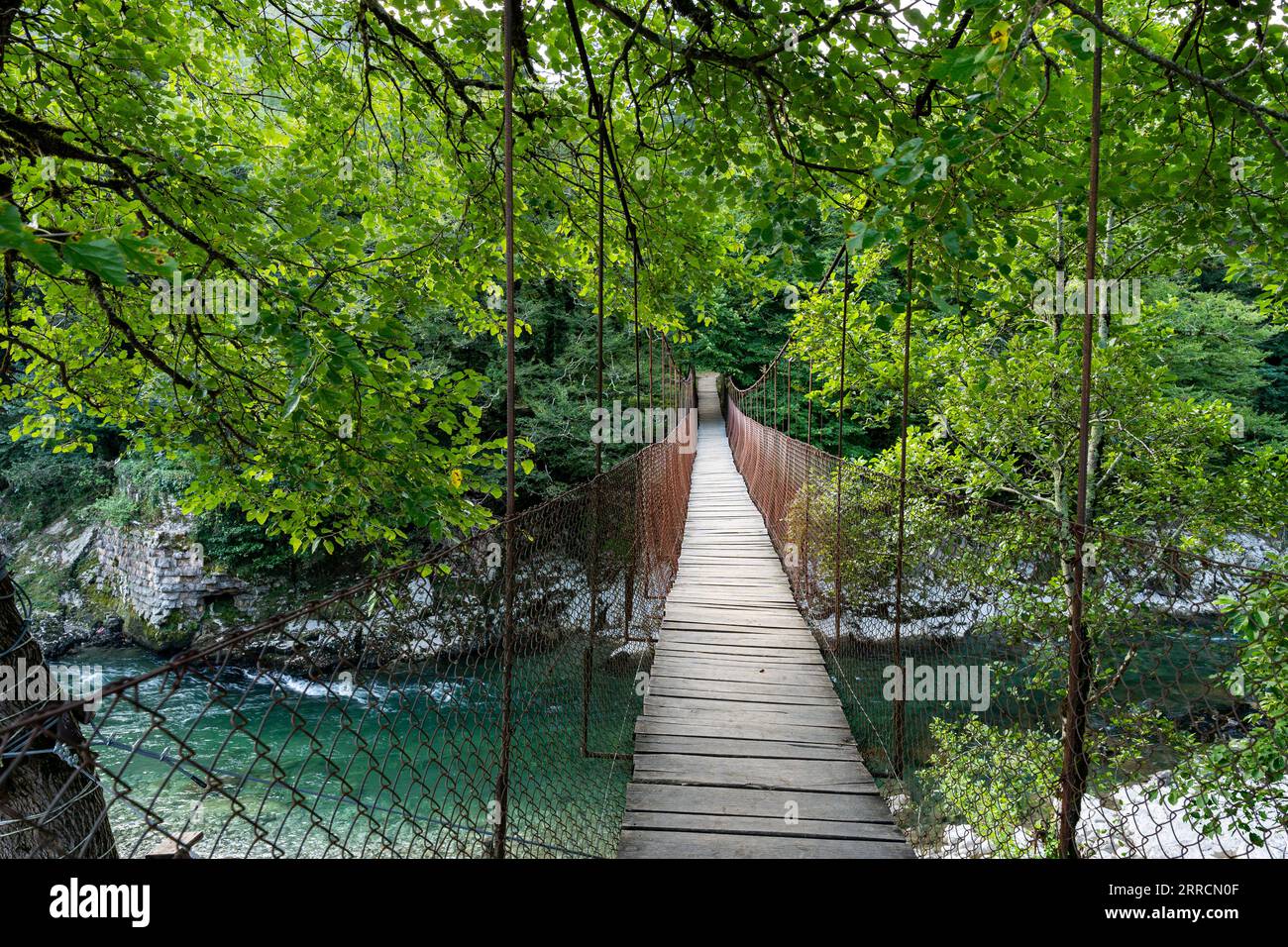 Monkey rope bridge hi-res stock photography and images - Alamy