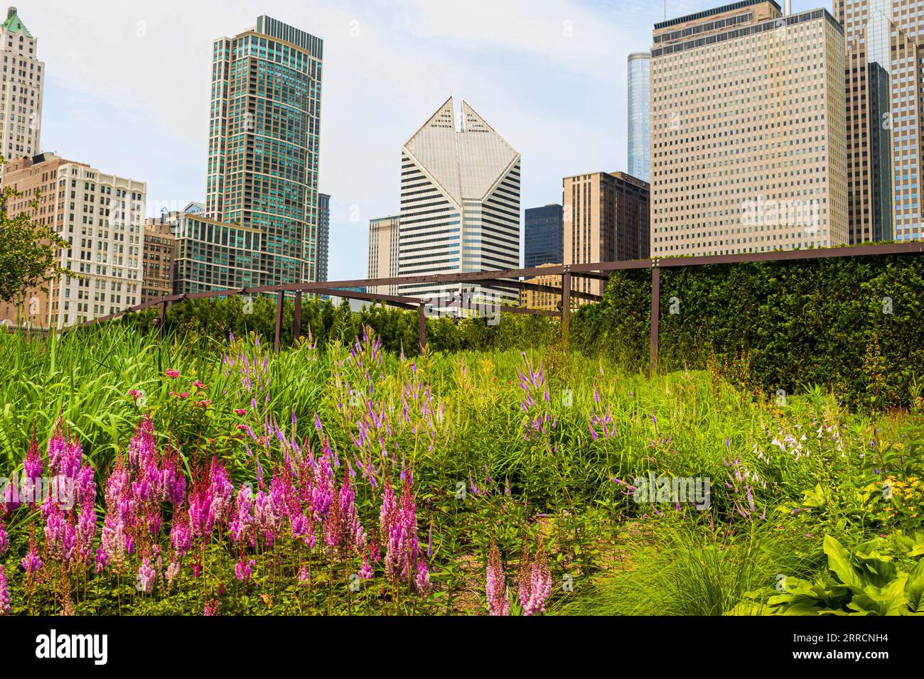 The Flowers of Lurie Gardens With The Buildings Along Michigan Avenue ...