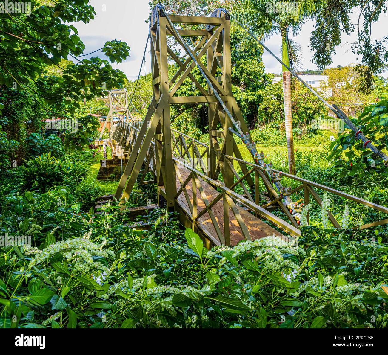 The Historic Kapaia Swinging Bridge, Lihue, Kauai, Hawaii, USA Stock ...