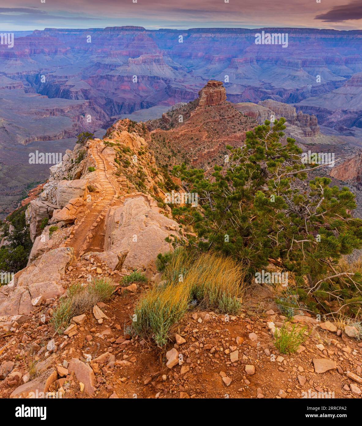 Red butte kaibab hi-res stock photography and images - Alamy