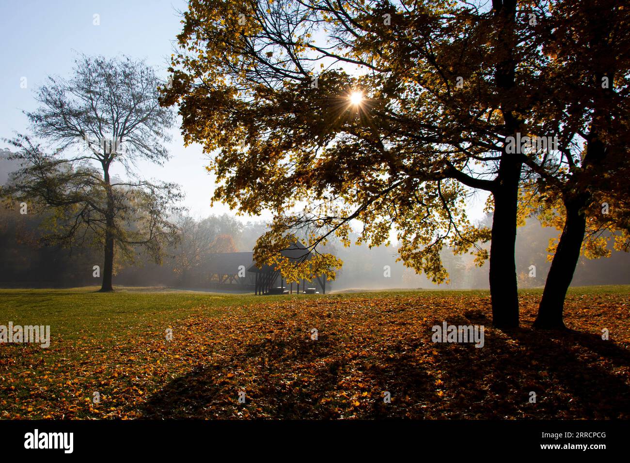 Sunbeam through autumn color hi-res stock photography and images - Alamy