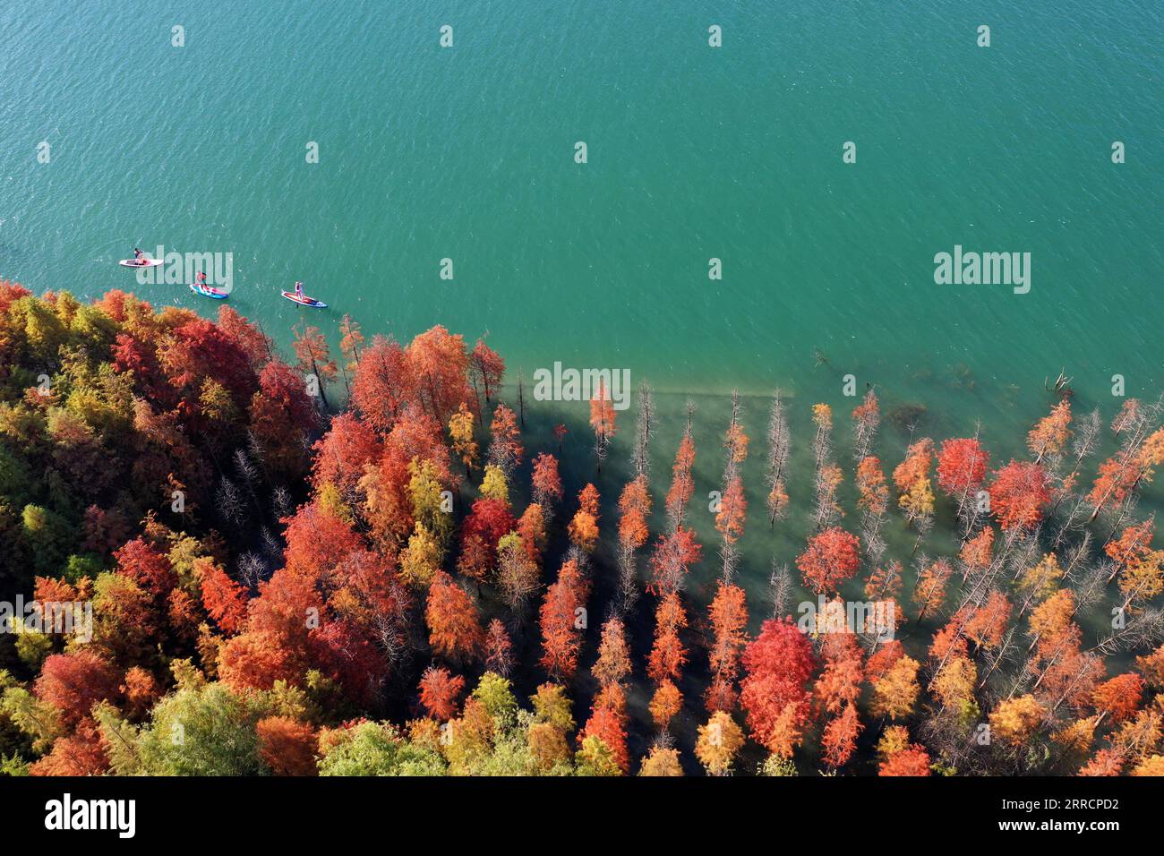 Redwood city aerial hi-res stock photography and images - Alamy