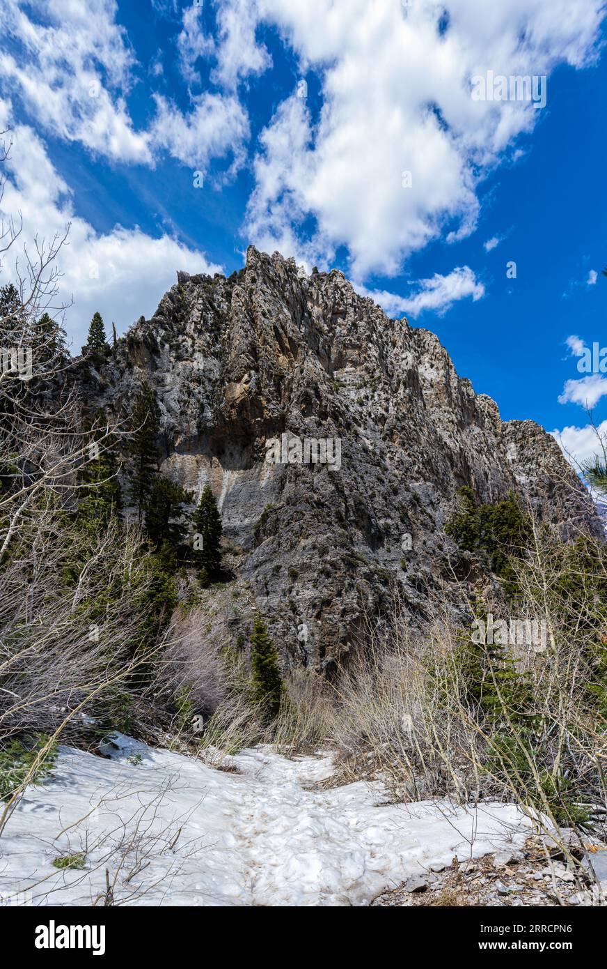 Echo Cliff on the Snow Covered Cathedral Rock Trail, Spring Mountains ...