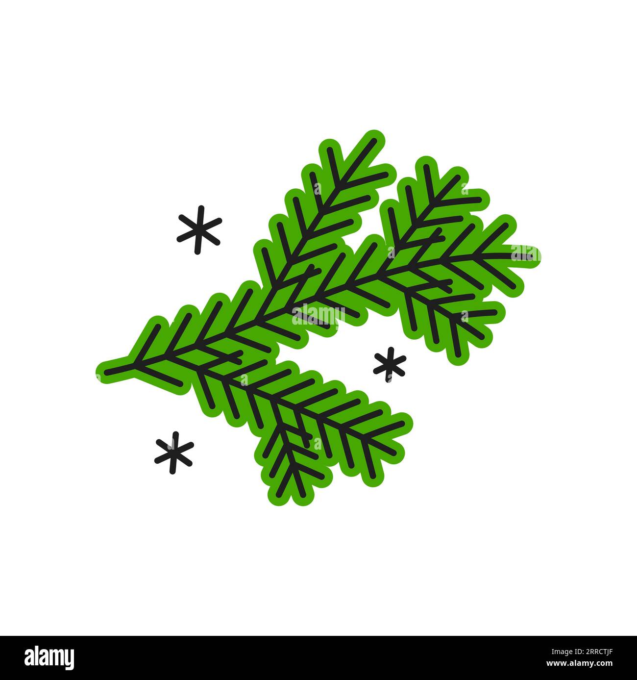 Large evergreen plant Stock Vector Images - Alamy