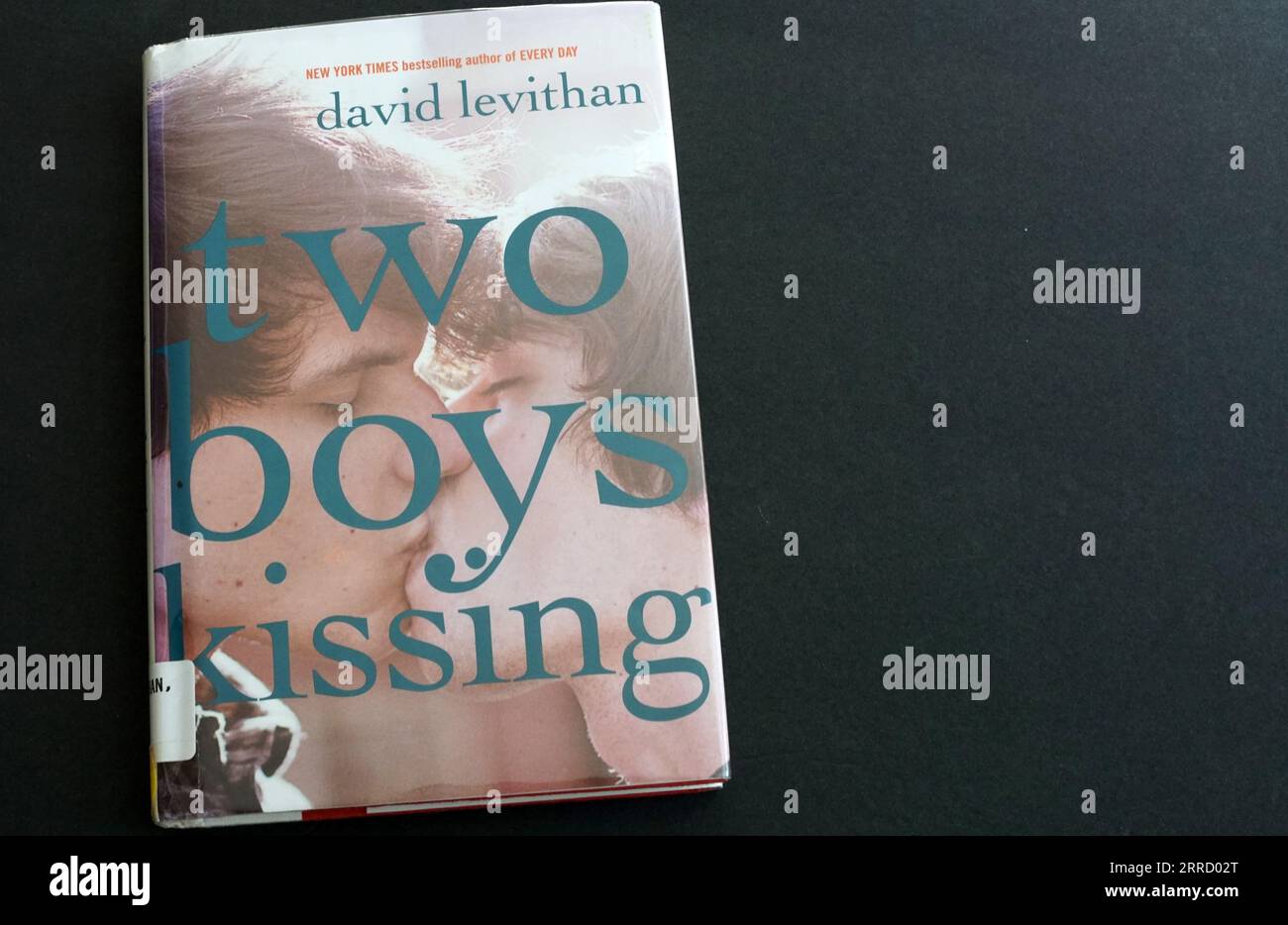 A copy of the book Two Boys Kissing, by David Levithan. Inspired by ...
