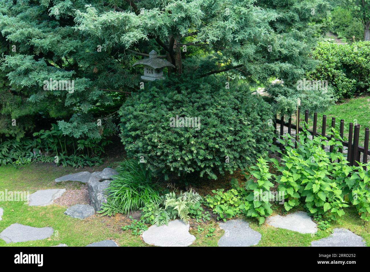 japanese garden landscape with stone lantern under pine tree Stock ...