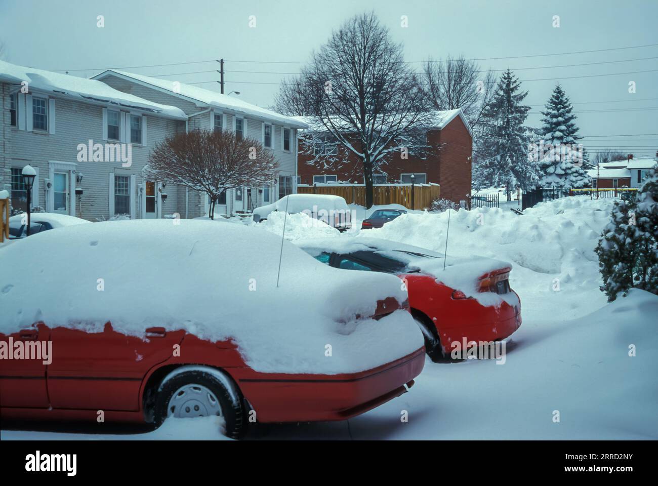 03 March, 2003, Toronto, Canada - Winter snow with vehicles covered in ...