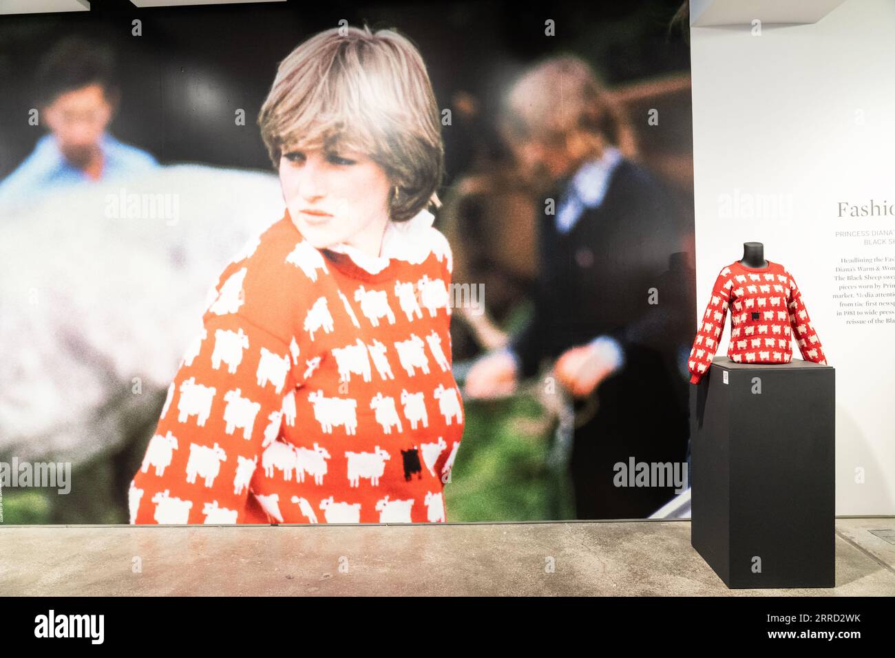 Black Sheep Jumper designed by Sally Muir and Joanna Osborne and worn ...