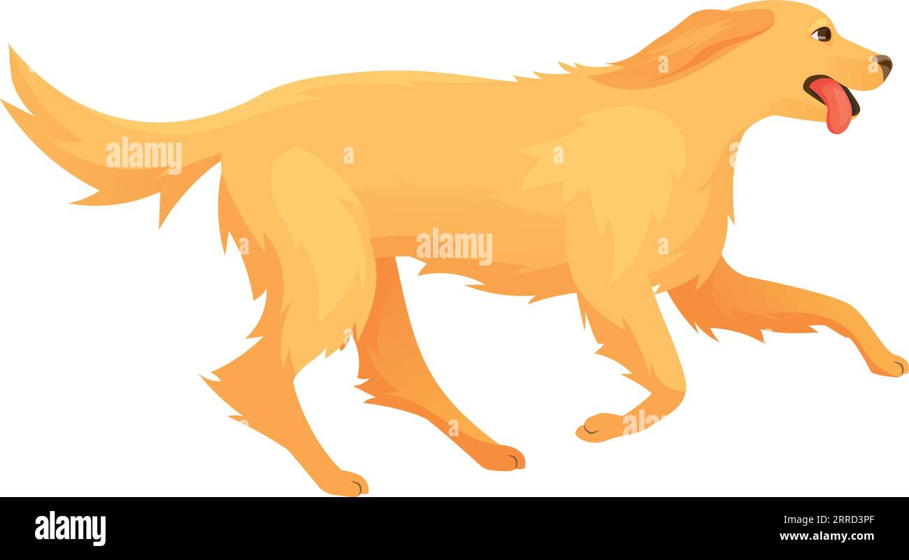 Dog running side view. Funny golden retriever isolated on white ...