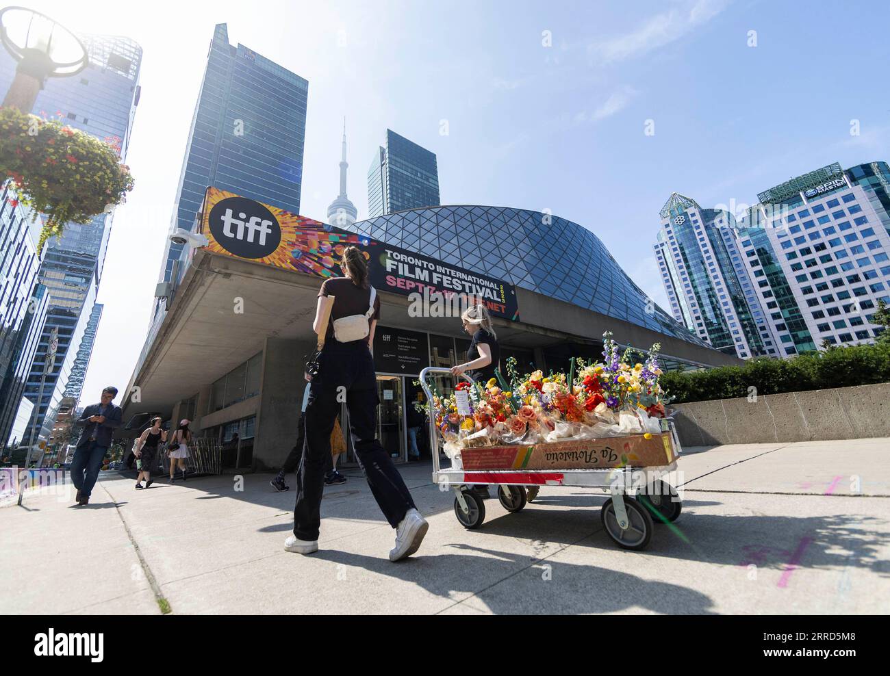 2023 toronto international film festival hi-res stock photography and ...