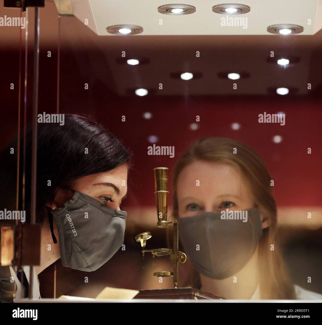 Charles darwin family hi-res stock photography and images - Alamy