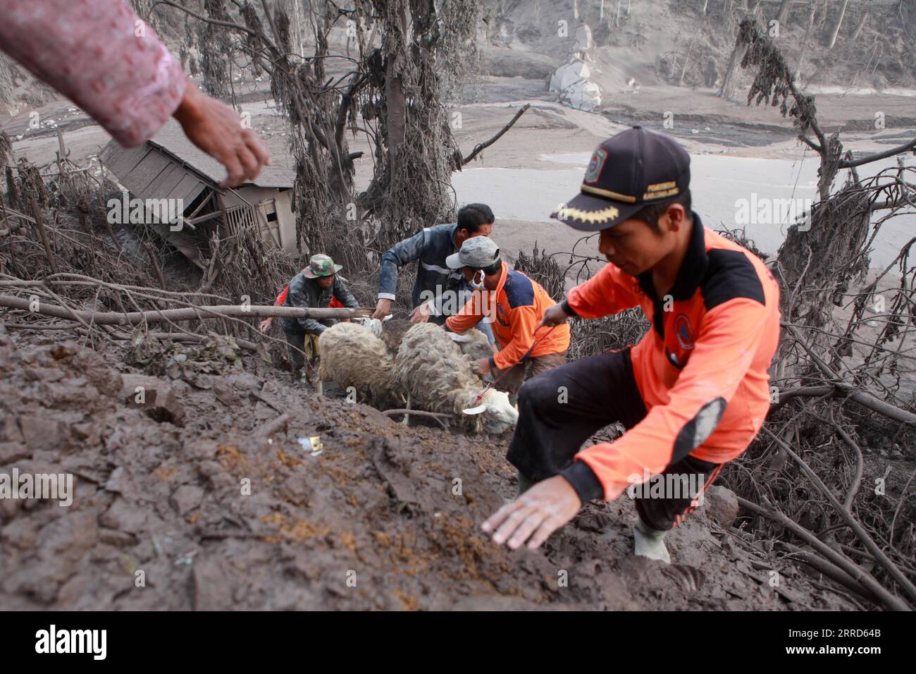 Semeru aftermath hi-res stock photography and images - Alamy