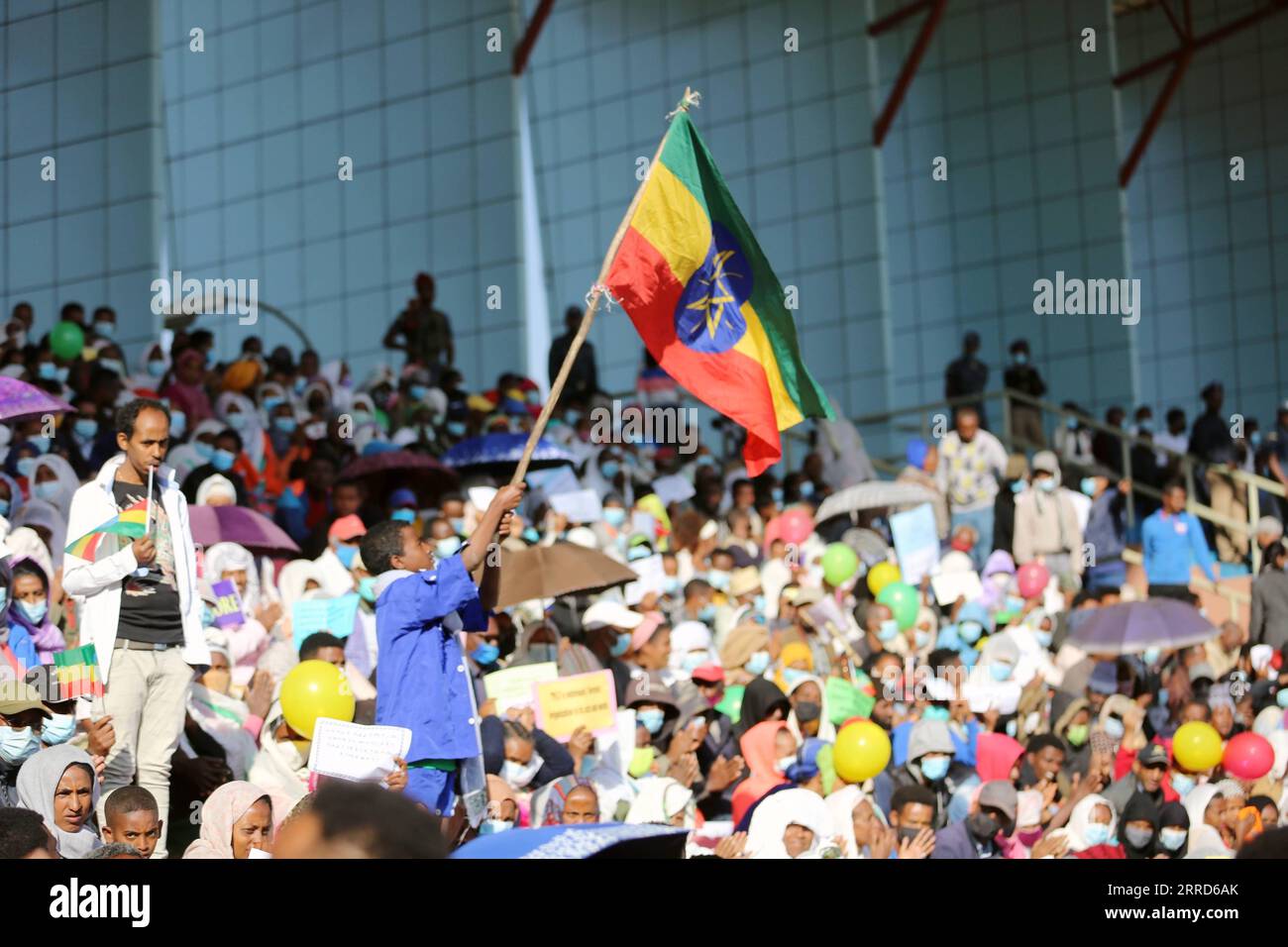 Tplf hi-res stock photography and images - Alamy