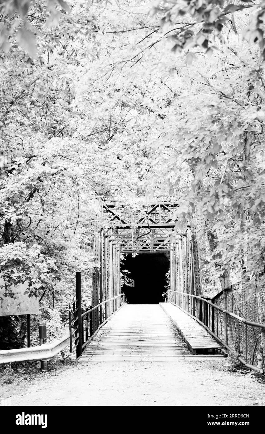 Wooden bridge with tree cover on either side leading to a dark open ...
