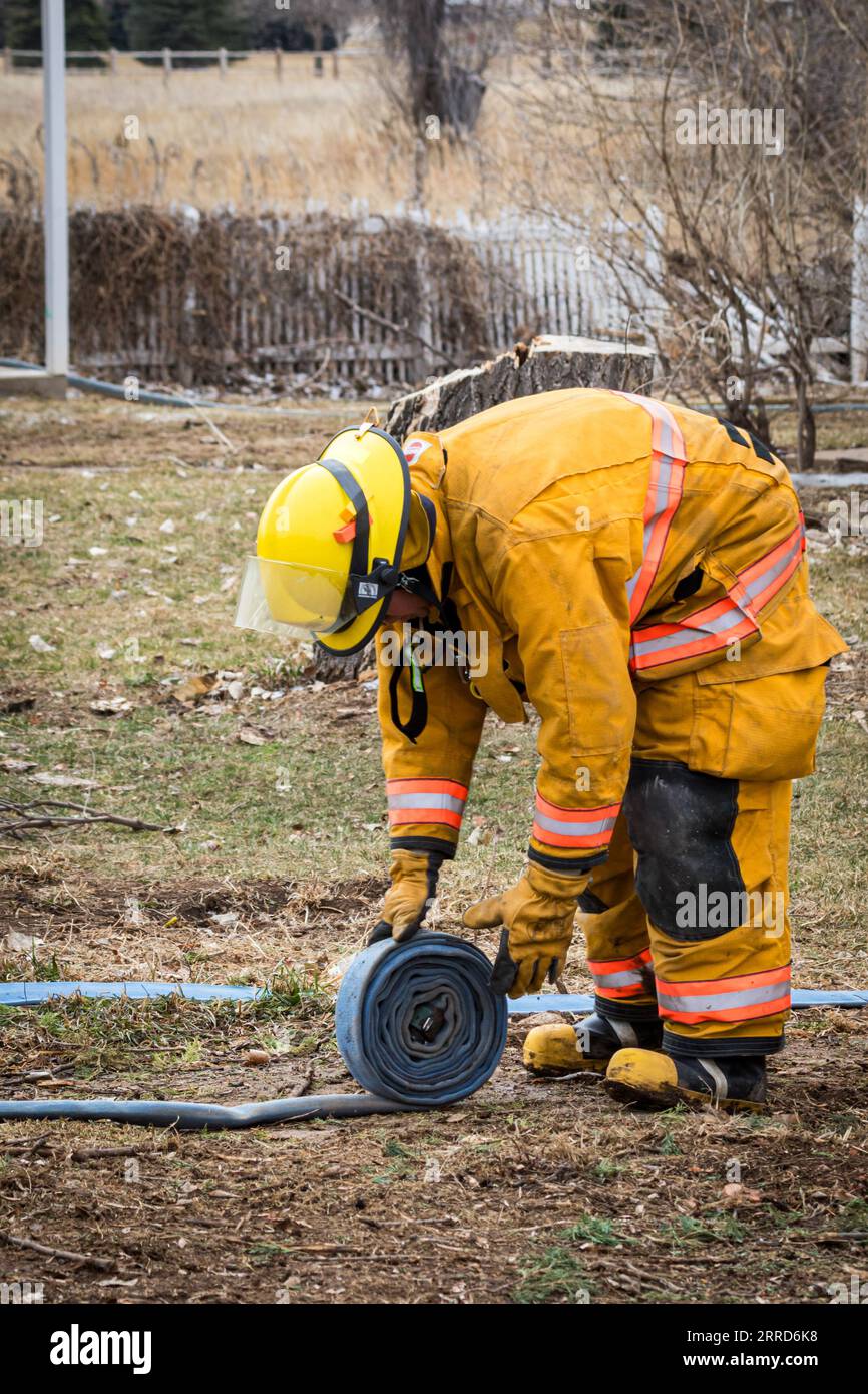 Volunteer Firefighter rolling up a hose Stock Photo - Alamy