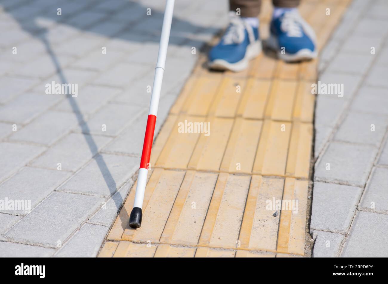 Close-up of a woman's legs with a cane near a tactile tile Stock Photo ...