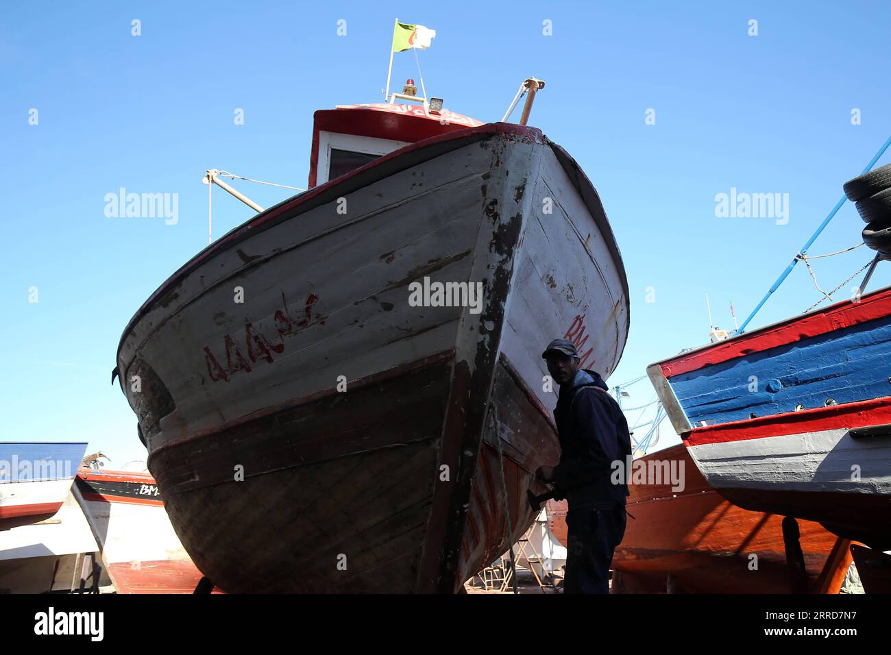 Algerian fishing hi-res stock photography and images - Alamy