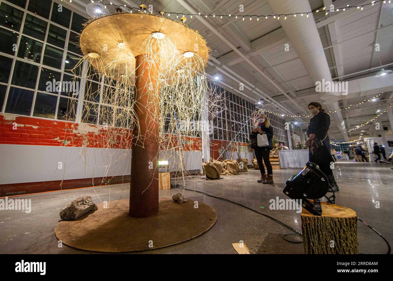Tree art installation of hi-res stock photography and images - Alamy