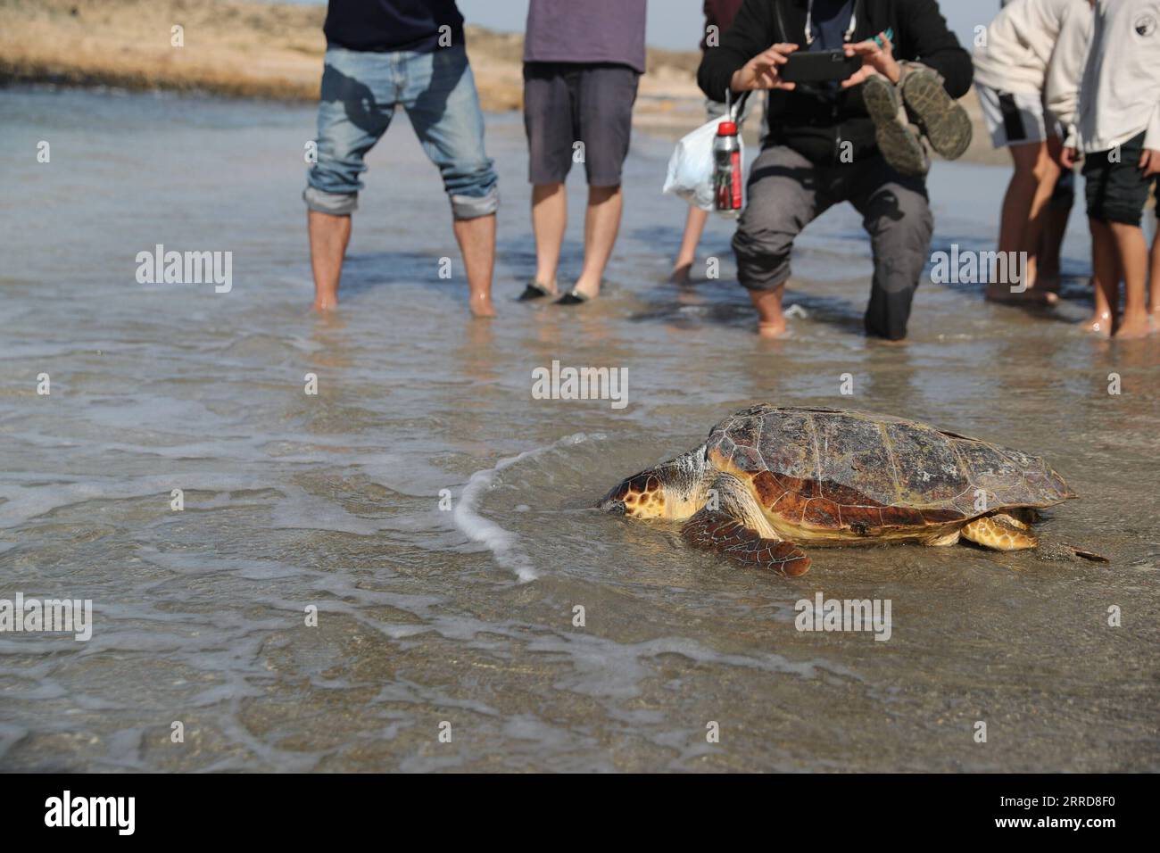 211210 -- HAIFA, Dec. 10, 2021 -- People watch and take photos as a sea ...