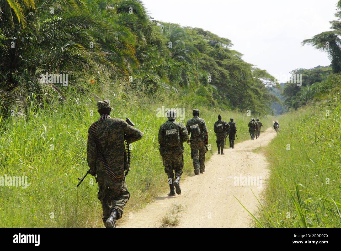Congo beni frontline operation hi-res stock photography and images - Alamy