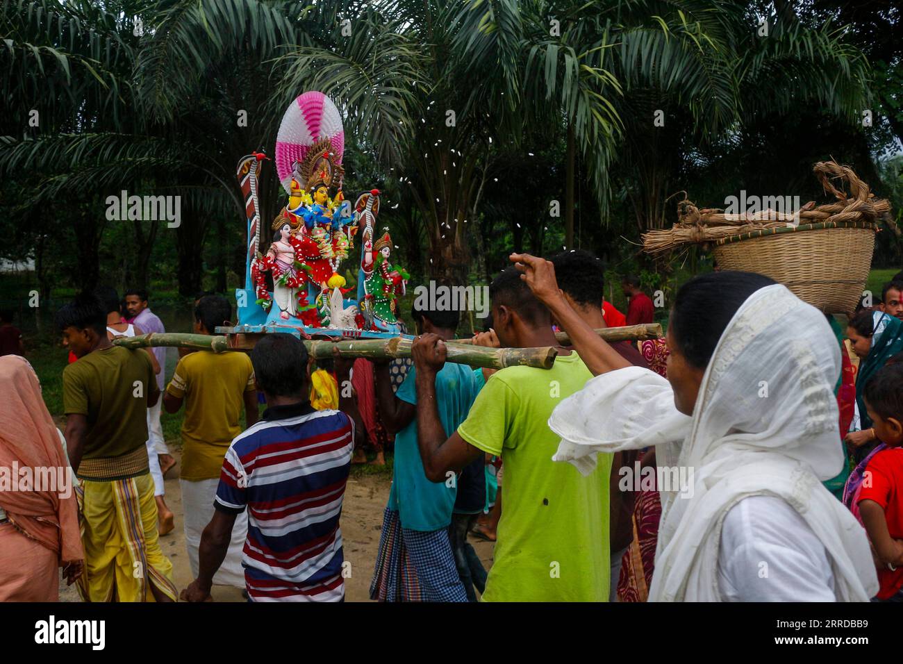 Snakes of bangladesh hi-res stock photography and images - Alamy