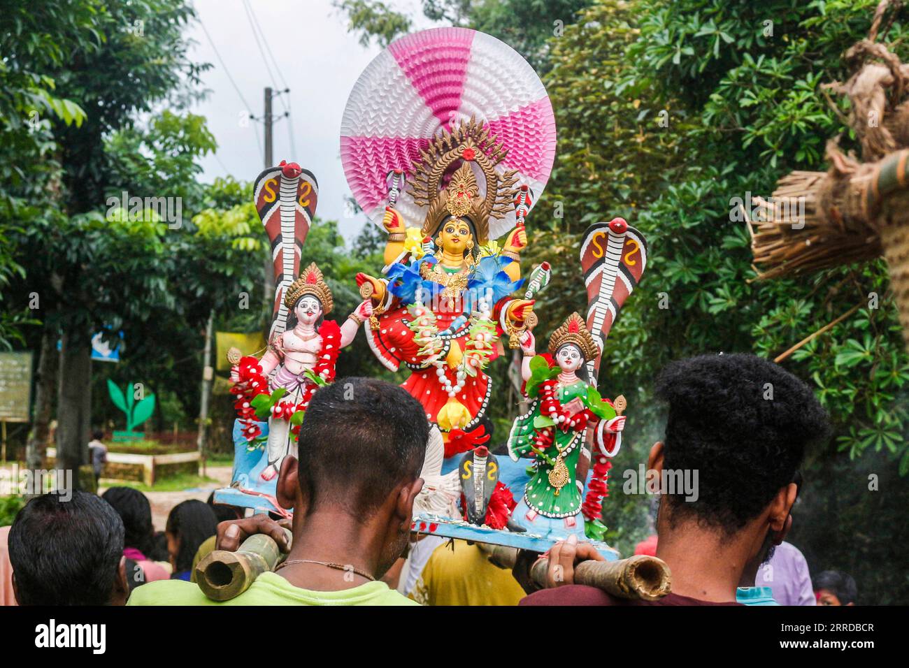 Snakes of bangladesh hi-res stock photography and images - Alamy