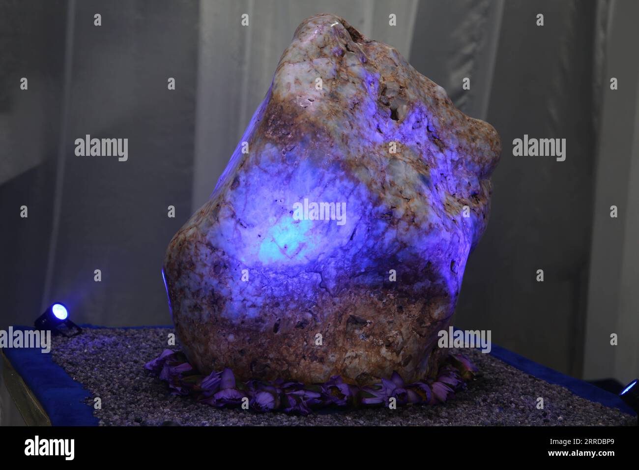 211215 -- HORANA SRI LANKA, Dec. 15, 2021 -- Photo taken on Dec. 15 ...