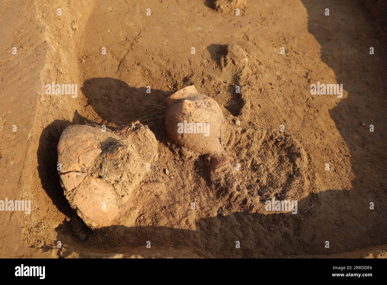 Earliest evidence hi-res stock photography and images - Alamy