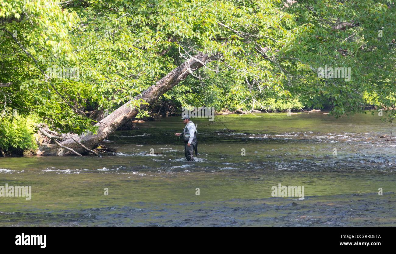 Fly fisherman fishing in stream hi-res stock photography and images - Alamy