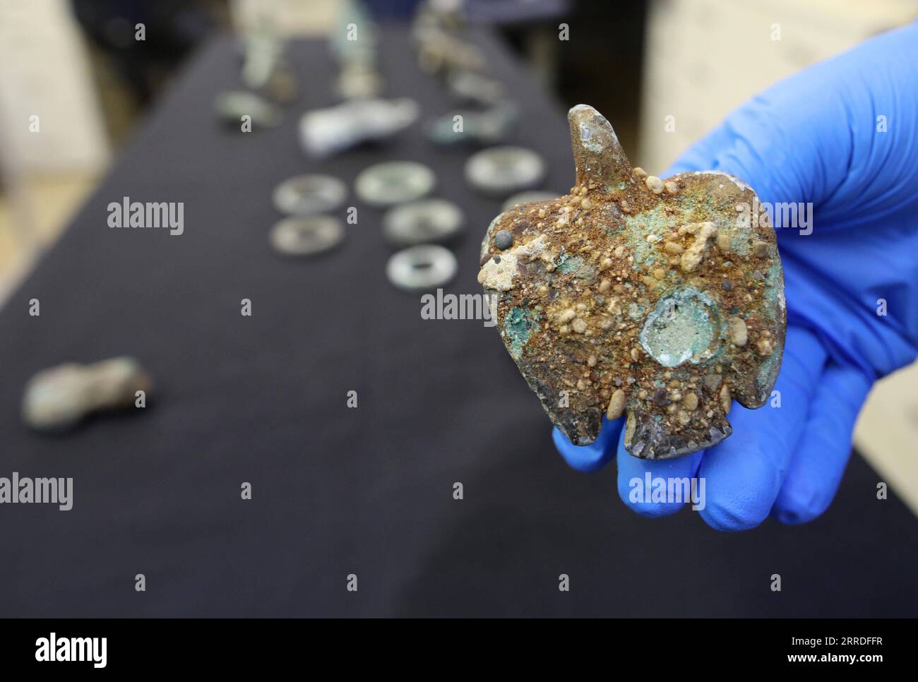 Shipwreck artifact hi-res stock photography and images - Alamy