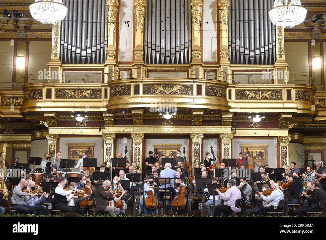 Musikverein golden hall hi-res stock photography and images - Alamy