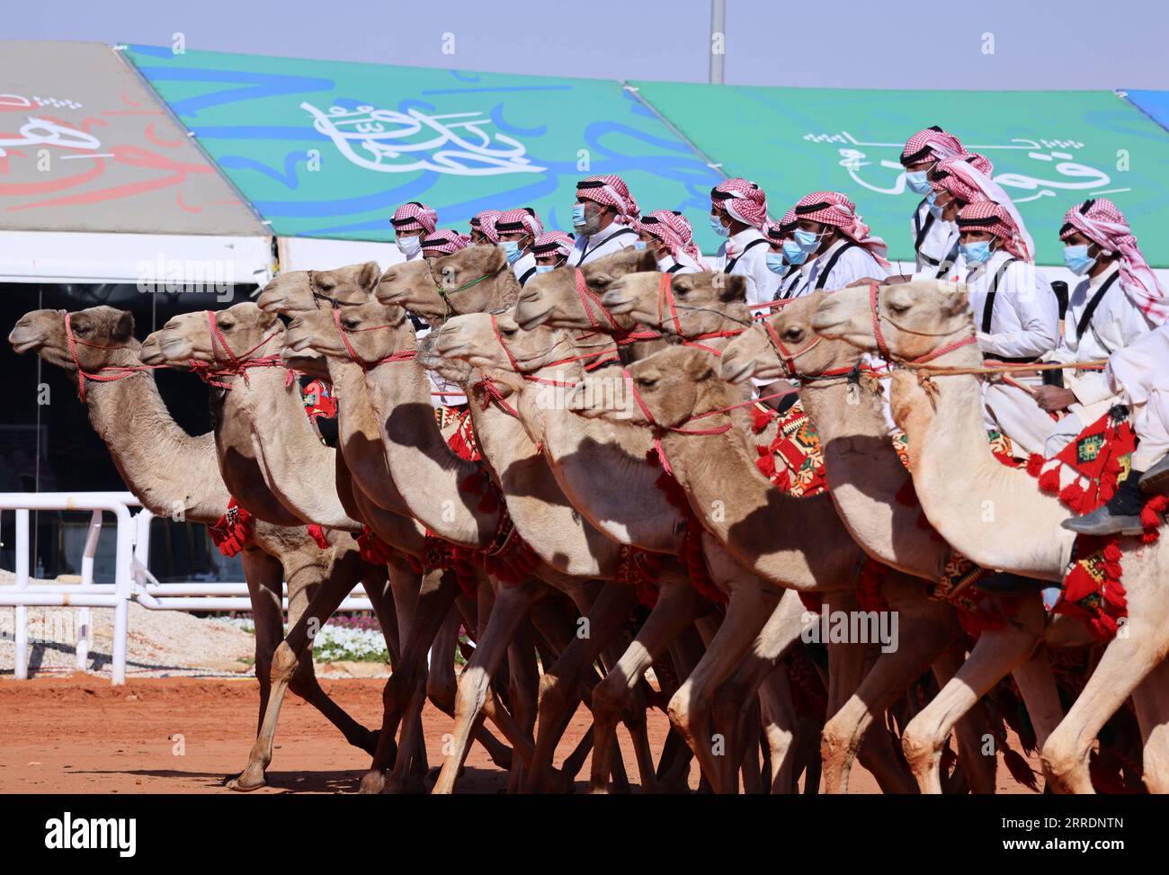 220105 -- RIYADH, Jan. 5, 2022 -- People ride camels for a parade ...